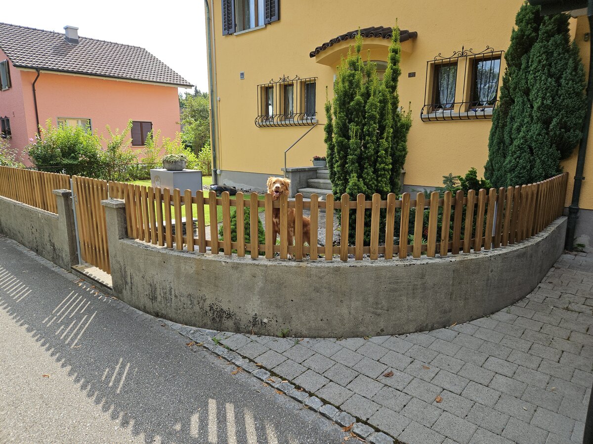 Zaunteam | Staketen Holz vor die Pfosten mit T-Stahlpfosten verzinkt in ...